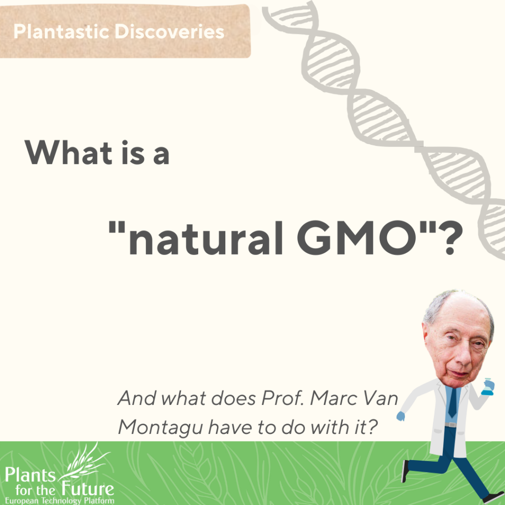 Information Hub | Plant ETP